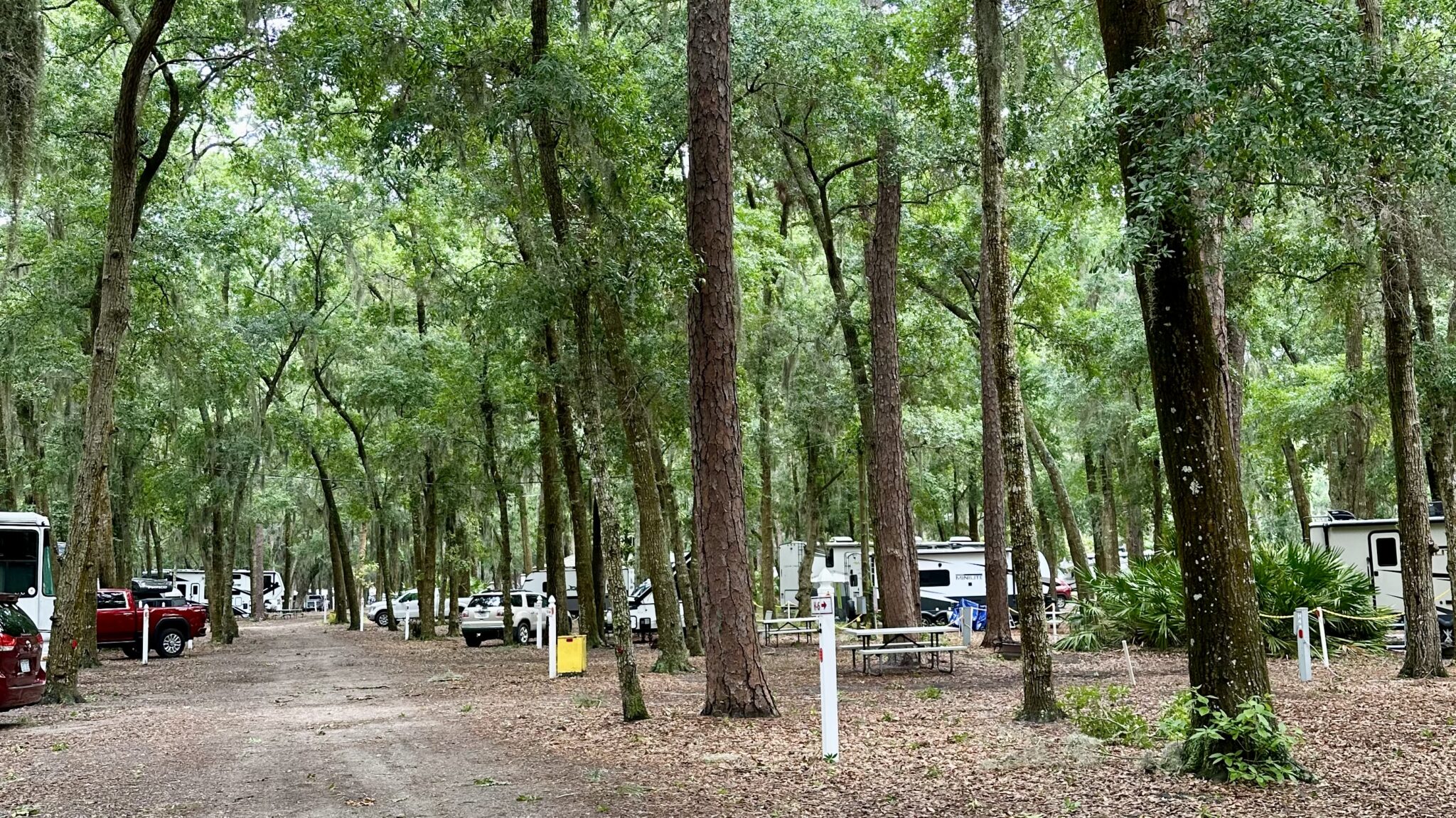 Discovering Jekyll Island: A Georgia Coastal Gem - Tiffin Motorhomes